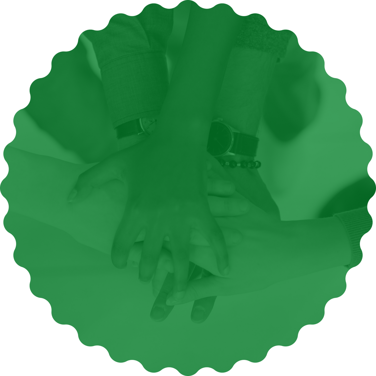 Ride-Hailing Franchise Business with Lolo: Booking Apps, Brand, Guides ...